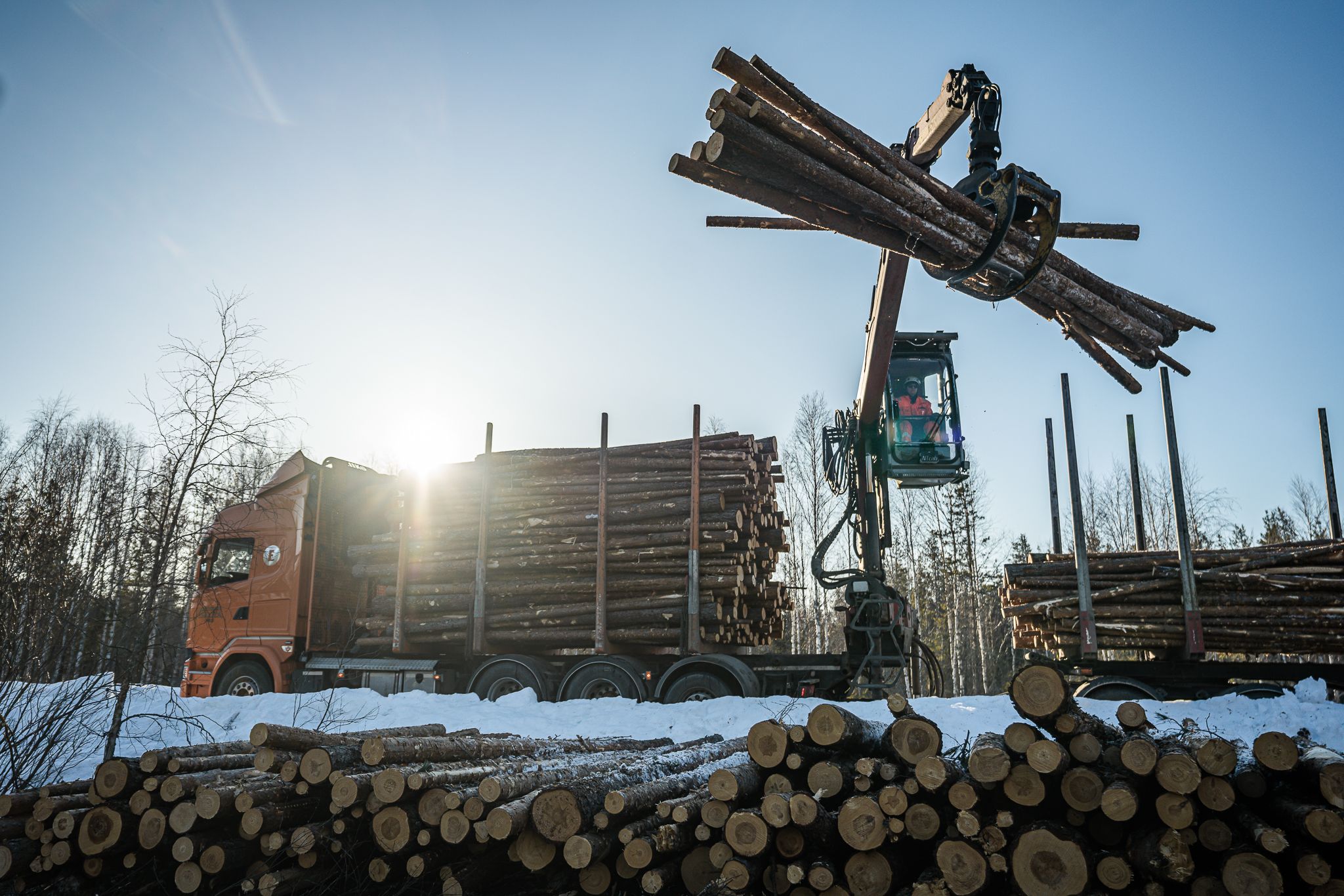 Tukkirekan kyydissä tehtaalle - Tervetuloa Metsään!